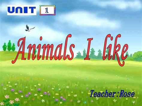 animals i like word文档在线阅读与下载 无忧文档