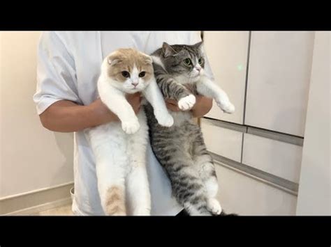 W Youtube