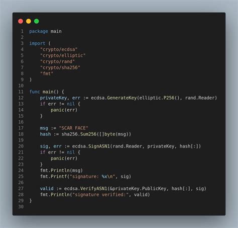 The Golang Code Generates An Ecdsa Elliptic Curve Digital Signature Algorithm Key Pair Signs