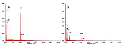 Fig S2 Edx Spectra Of A Copper Nps And B Copper Nts Synthesized At