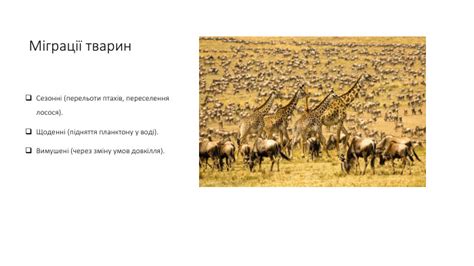 Характерні риси та будова тварин