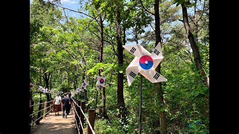 영월 가볼만한 곳 한반도지형 전망대 가는길에 만난 태극기 바람개비 Youtube