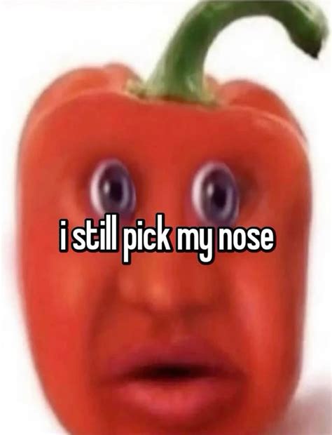 Im So So Sorry To Whoever Had To See This Im So Sorry In 2025 Quick