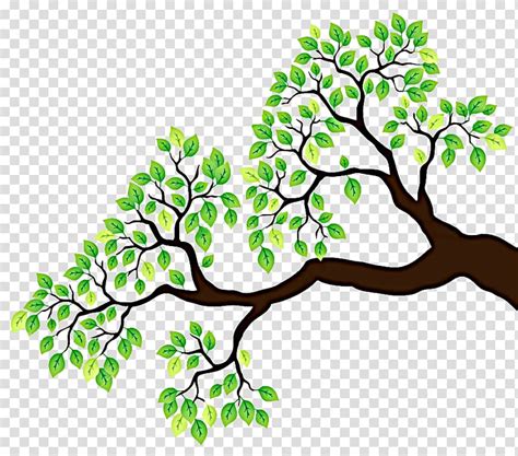 Branch Tree Drawing Branches Transparent Background Png Clipart