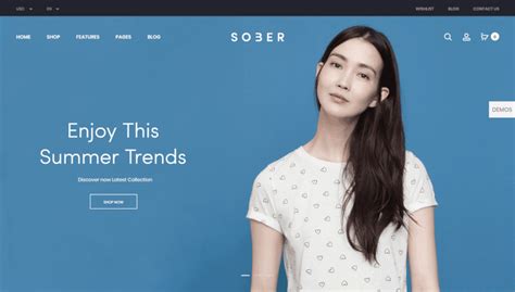 30 Best Premium WooCommerce WordPress Themes 2025 Theme Junkie