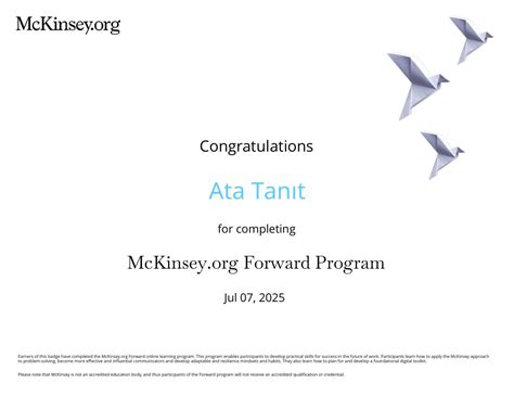 I Completed The Mckinsey Forward Program A 10 Week Online Learning