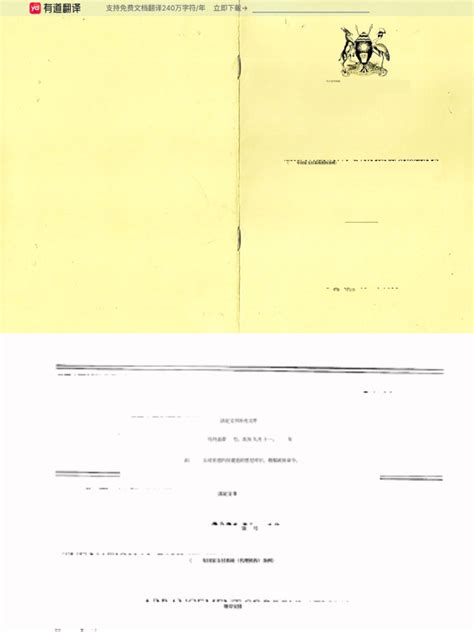 The National Payment Systems Agents Regulations 2021翻译结果 Pdf