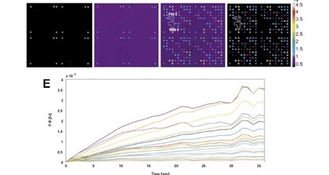 Real Time Monitoring Of Oligonucleotide Oligonucleotide Hybridization