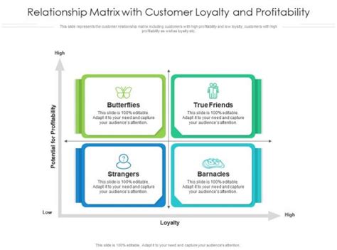 Customer Relationship Matrix Slide Team