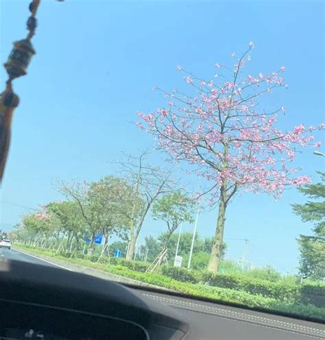 记录看过的书《炒股养家心法》 知乎