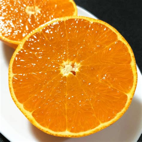 【楽天市場】【送料無料】みかんの苗木 せとか【果樹苗 2年生 接木苗15cmポット1個】みかん苗 みかんの苗 ミカン苗 蜜柑苗 柑橘苗 農園