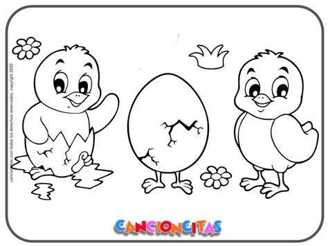 Pollito Dibujos Para Colorear Pollitos Dibujo Dibujos Kulturaupice My