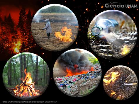 Incendios Forestales En México Se Intensificarán Incendios Forestales