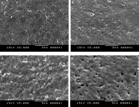 E Scanning Electron Microscopic Micrographs Of The Surfaces Of The