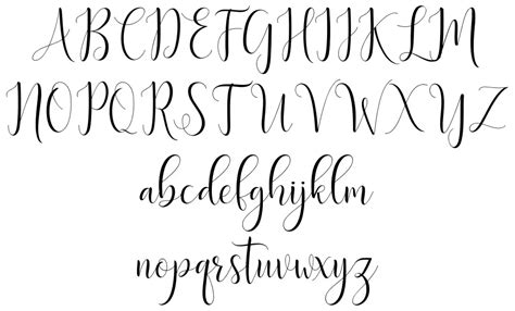 Delight Script Font By Amar Lettering Fontriver