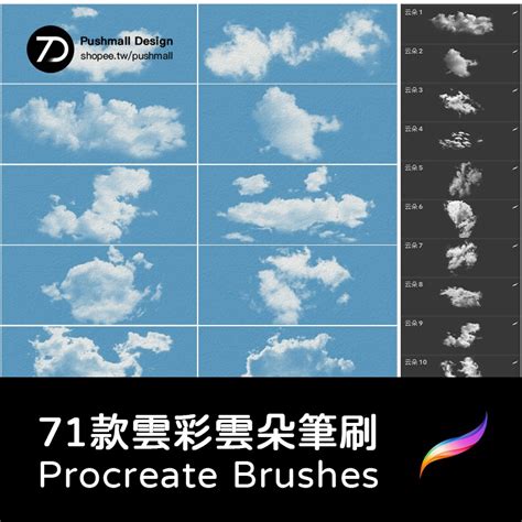 「procreate筆刷」 寫實雲彩雲朵造型筆刷預設畫筆繪畫後期設計素材 蝦皮購物