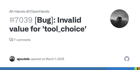 Bug Invalid Value For Toolchoice · Issue 7039 · All Hands Ai
