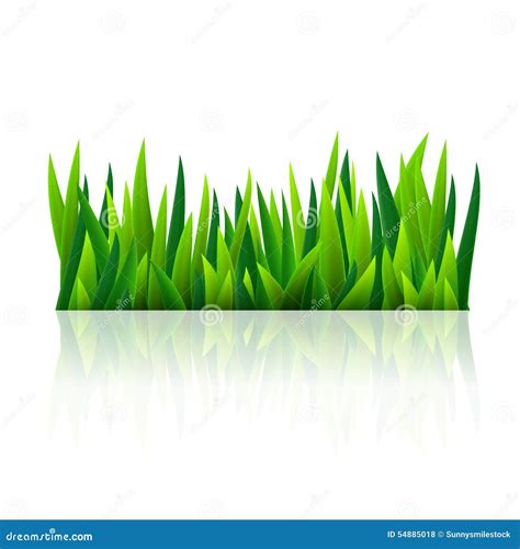 Green Grass Stock Vector Illustration Of Design Green
