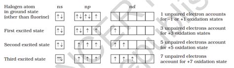 SATHEE Unit 07 The P Block Elements