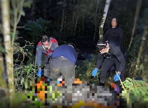 Corpo Em Estado De Decomposição é Encontrado Em Trilha O Jornaleiro