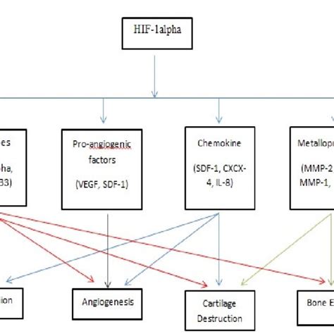 Chest Computed Tomography Showing Diffuse Reticular Interstitial