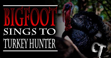 Turkey Hunter Has Unbelievable Bigfoot Encounter