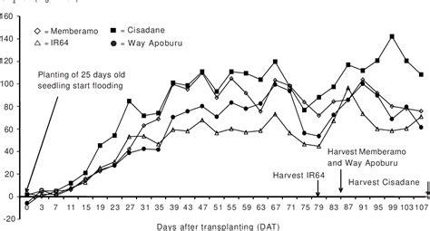 Figure 2 From The Effect Of Rice Cultivars On Methane Emission From