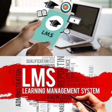 Lms Website Web Design Development Seo E Commerce