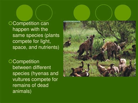 Interactions Within Ecosystems Ppt Download