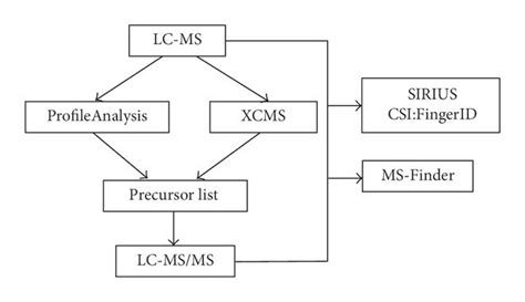 general scheme showing the workflow of data analysis download