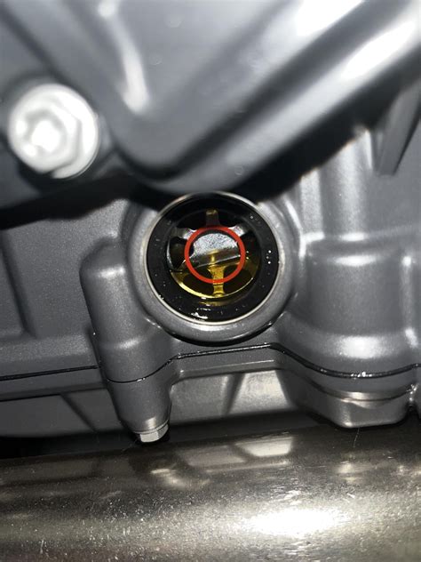 New Bike Day Fails 890 Duke Leaking Oil Bought Today Rmotorcycle