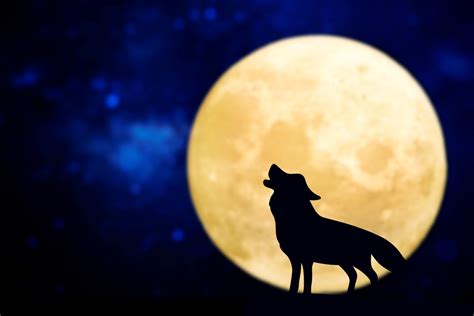 Luna De Lobo 2023 Cuándo Será La Primera Luna Llena De Enero Por Qué