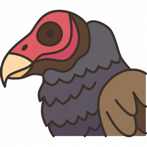 Bird Scavenging Vulture Wildlife Ornithology Icon Download On
