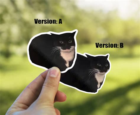 Maxwell Cat Sticker Spinning Cat Meme Maxwell The Low Poly Etsy