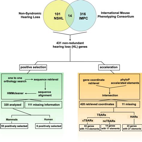 Bioinformatics Pipeline And Filtering Process Of Two Datasets Of Download Scientific Diagram