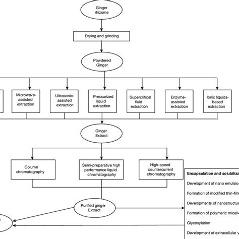 Pdf Extraction Purification Food Applications And Recent Advances For Enhancing The