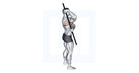 Internal Shoulder Rotation Stretch Guide Benefits And Form
