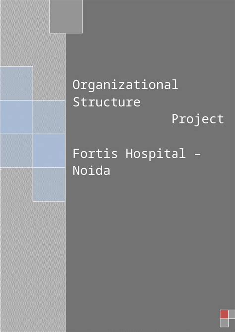 Doc Project Fortis Organizational Structure Dokumentips