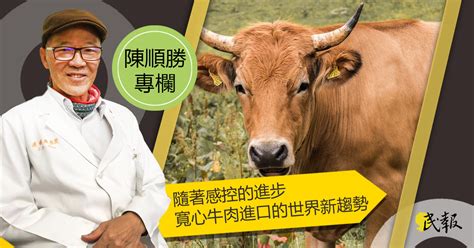 民報 Taiwan People News 普拿疼缺藥 指揮中心請民眾不要大量購買寄送國外