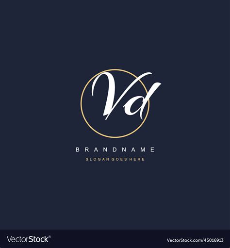 Initial Letter Vd Logo Monogram Feminine Style Vector Image