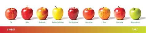 Types Of Apples Chart