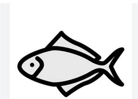 মাছ চাষ শখপেশা