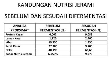 Jerami Fermentasi Untuk Pakan Ternak