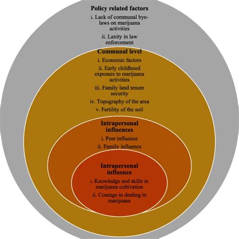 Conceptual Framework Of The Socio Ecological Model Adopted From Mcleroy