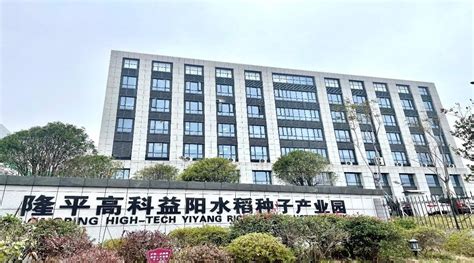 赋能乡村振兴上市公司在行动丨隆平高科：科技推动乡村振兴种业精进回报社会 每经网