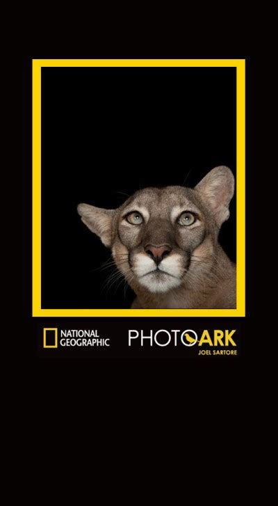 내셔널지오그래픽 특별전 포토아크 Photoark 네이버 포스트