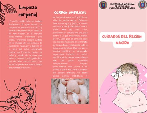Tríptico cuidados del recién nacido CORDÓN UMBILICAL se desprende