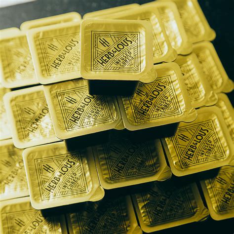 Infused Ice Cubes Set Of 3 Herb And Lous Infused Cubes Touch Of Modern