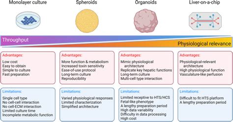 Liver Three Dimensional Cellular Models For High Throughput Chemical Testing Cell Reports Methods