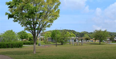 大東建設株式会社（千葉県君津市）